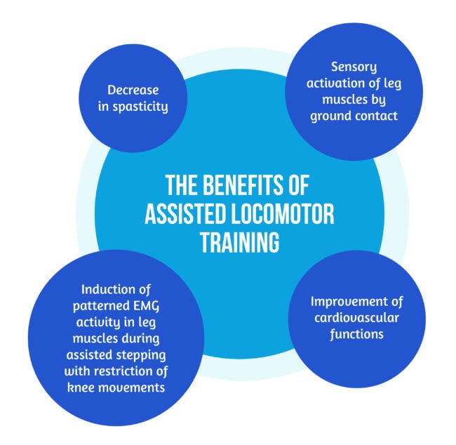 Locomotion training after spinal cord injury- the physiological basis ...