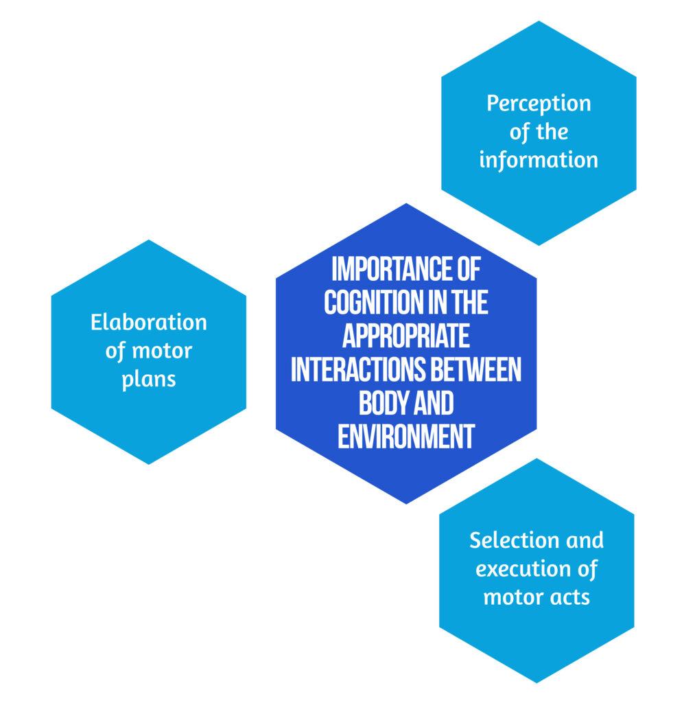 Robot-assisted neurocognitive rehabilitation of the hand • EFNR • The ...