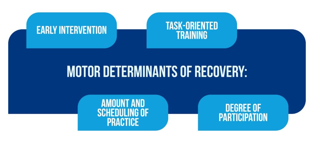 Robotic-aided therapy in motor recovery after stroke • EFNR • The ...
